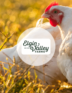 Fresh Local Poultry & Eggs for SEQ
